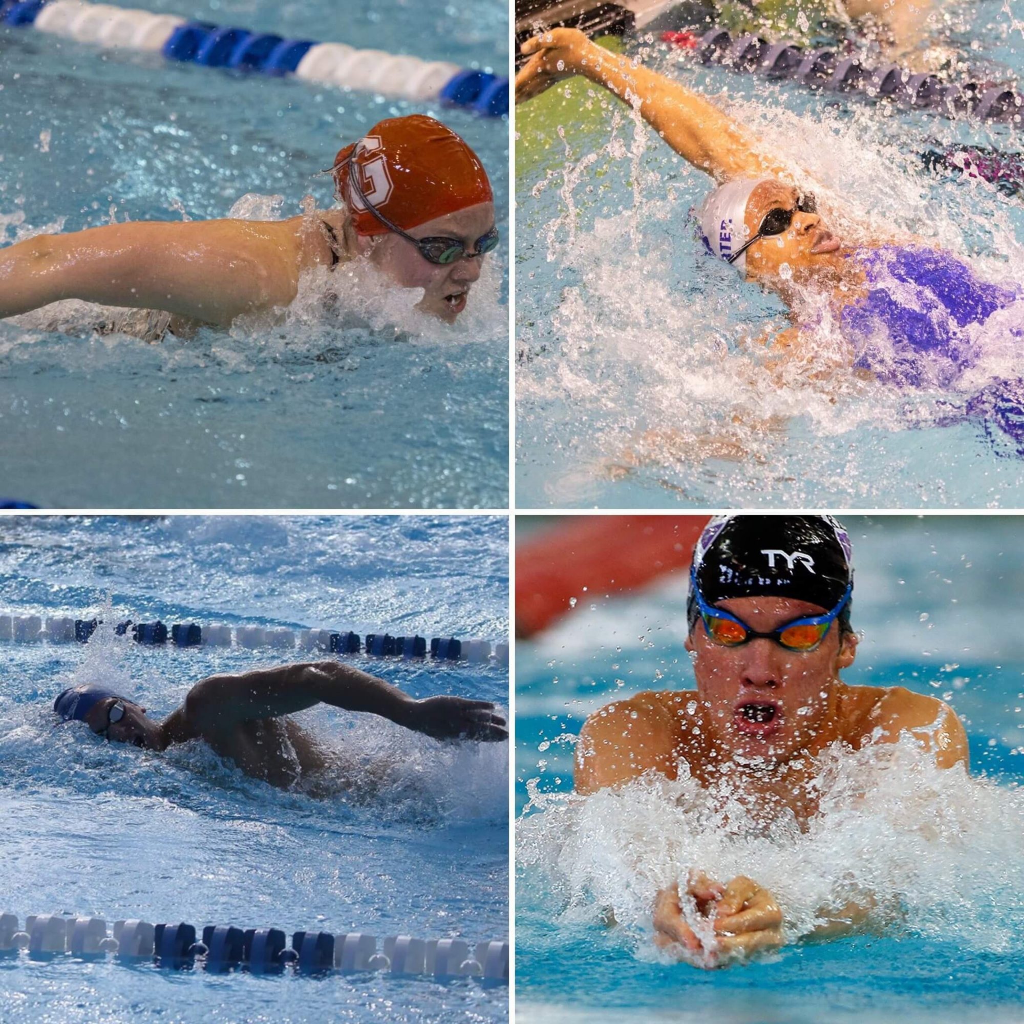 Baylor Swimmers in College for the 2019-2020 Season – Baylor Swim ...