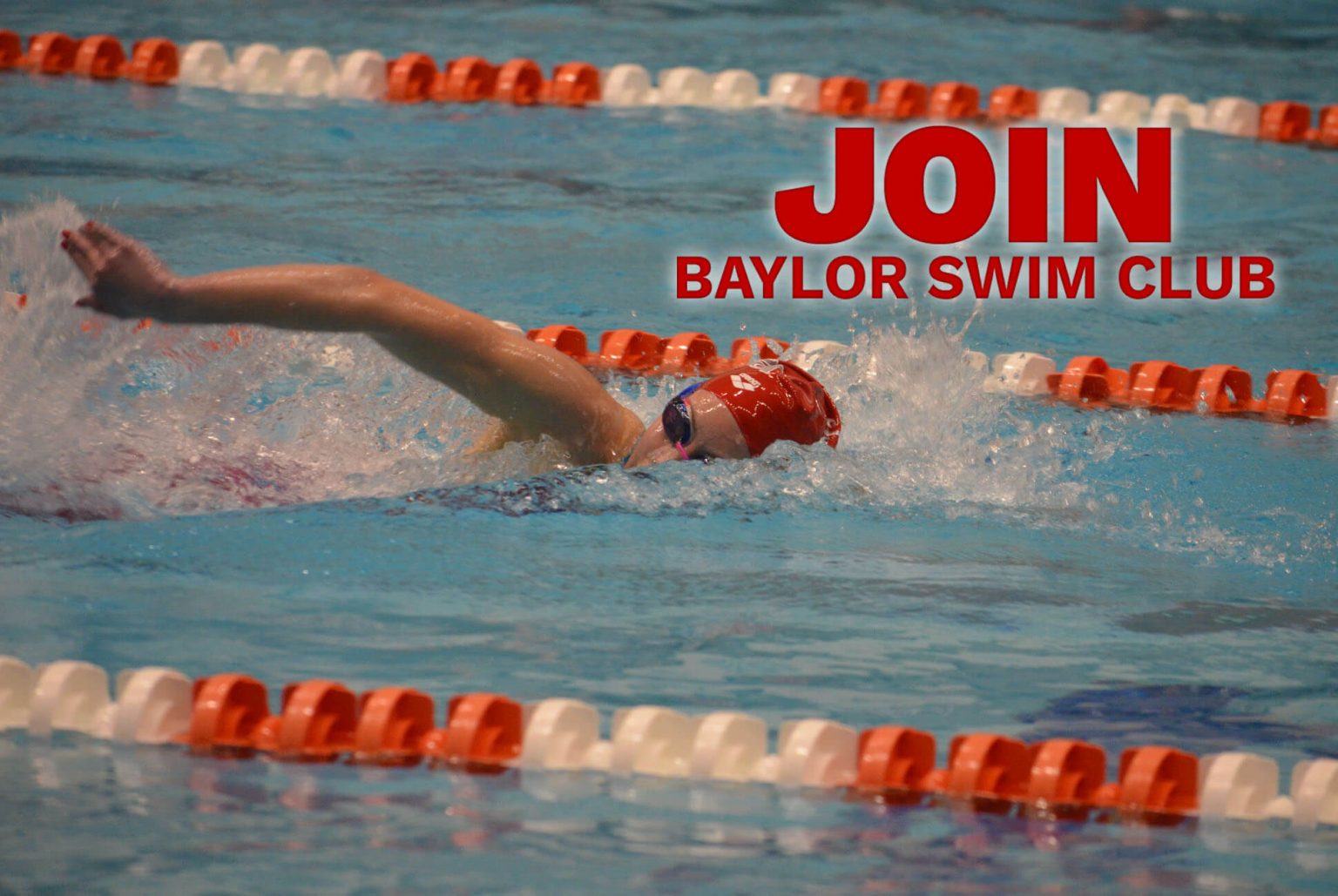 JOIN Baylor Swim Club for the 2021-2022 Season – Baylor Swim & Dive Club